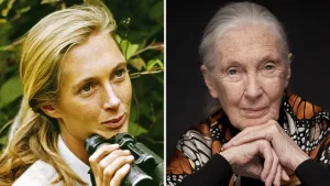 Jill Recalls Her Interactions with Jane Goodall – Into The Planet Podcast